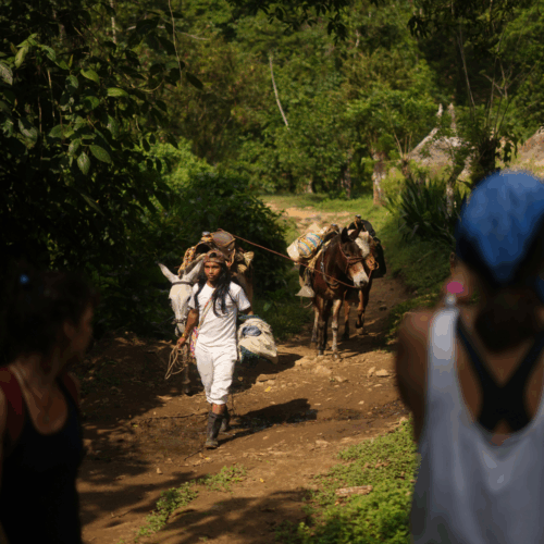 Colombia’s Indigenous people - Get to know the marvelous tribes🏜️